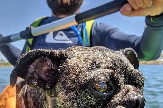 SUP Rental - The Itinerary: What to Expect