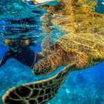 Super Raft - Private Charter Maui 3 Hour Snorkel to Coral Gardens or Molokini - Who This Tour Is Best For