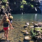 Surf and SeaTurtles Oahu Tour - What to Expect from the Experience