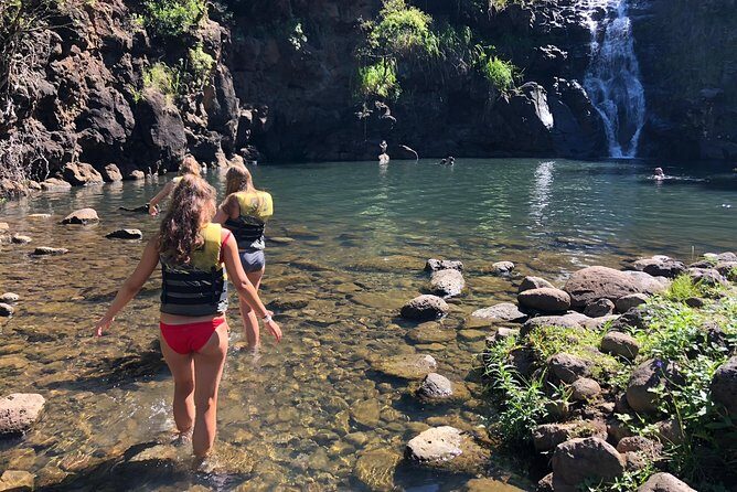 Surf and SeaTurtles Oahu Tour - What to Expect from the Experience
