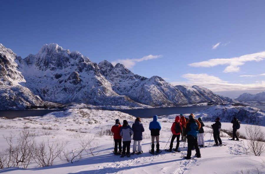Svolvær: Snowshoe Nature Explorer - Why Snowshoeing in Lofoten Matters
