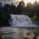 Swedish Lapland: Midnight Sun Photography Workshop - What Makes This Experience Stand Out