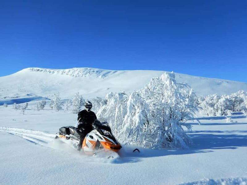 Swedish Lapland: Snowmobile safari - The Experience of a Lifetime, or a Day in the Snow?