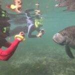 Swim With Manatees In Crystal River, Florida - FAQ