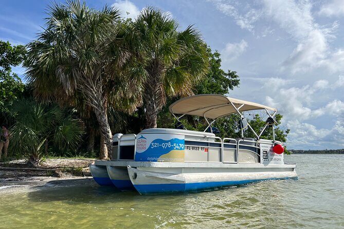 Swimming in a Dolphin and Manatee Lagoon Boat Tour - Who Will Enjoy This Tour?