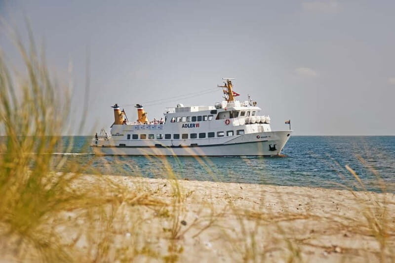 Sylt: Shell safari with boat | incl. Mussel tasting & 1 glass of wine - What Travelers Are Saying
