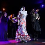Tablao Flamenco Alma - Live Flamenco Show - Logistics and Practical Considerations