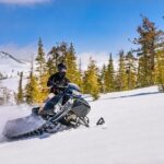 Tahoe Snowmobiling Tours - The Experience: Highlights and Considerations