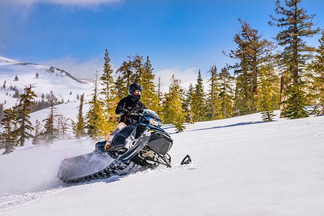 Tahoe Snowmobiling Tours - The Experience: Highlights and Considerations