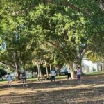 Taichi & Qigong Class in Naples, Florida - Who Will Appreciate This Experience?