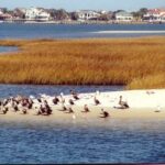 Take a Scenic Boat Ride in St. Augustine - The Itinerary: What to Expect