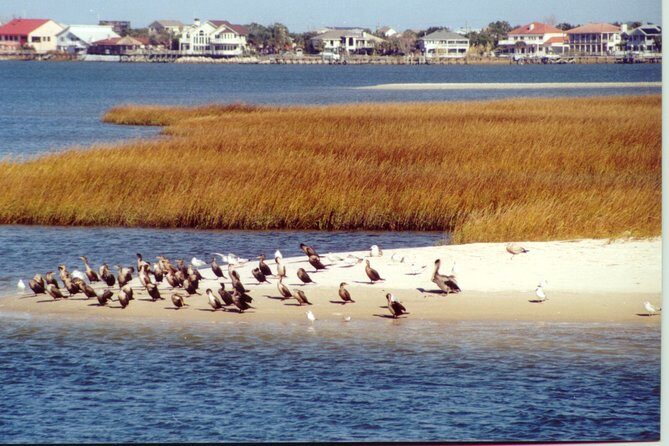 Take a Scenic Boat Ride in St. Augustine - The Itinerary: What to Expect