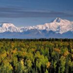 Talkeetna: Denali Zipline Tours - What to Expect: An Exciting Mix of Heights and Views