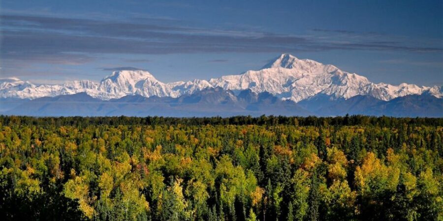 Talkeetna: Denali Zipline Tours - What to Expect: An Exciting Mix of Heights and Views