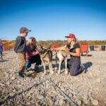 Talkeetna: Mushing Experience with Iditarod Champion Dogs - The Value of This Experience