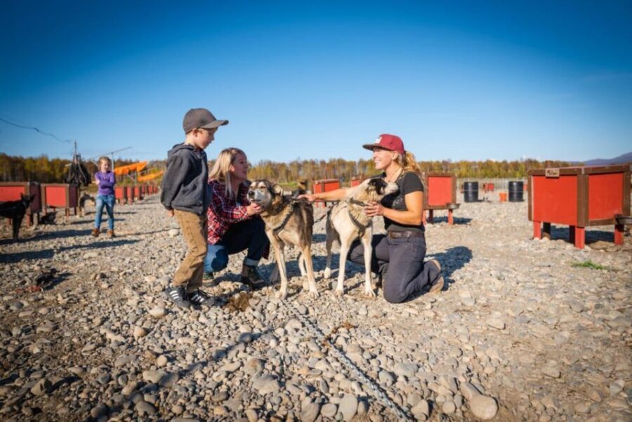 Talkeetna: Mushing Experience with Iditarod Champion Dogs - The Value of This Experience