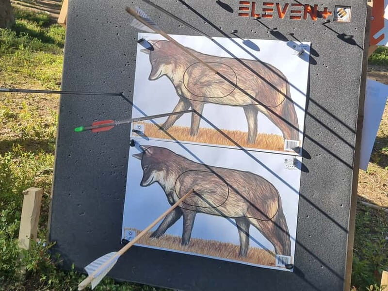 Tallinn: Beginner Archery Class with Transfer - Who Will Love This Experience?