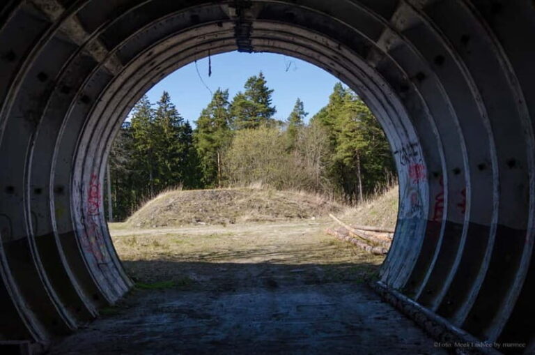 Tallinn: Behind the Iron Curtain Soviet Secrets Guided Tour - A Closer Look at the Tour