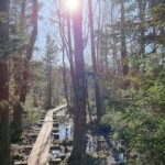 Tallinn: Best Estonian Nature Trails in a Day Guided Tour - Why This Tour Is Worth It