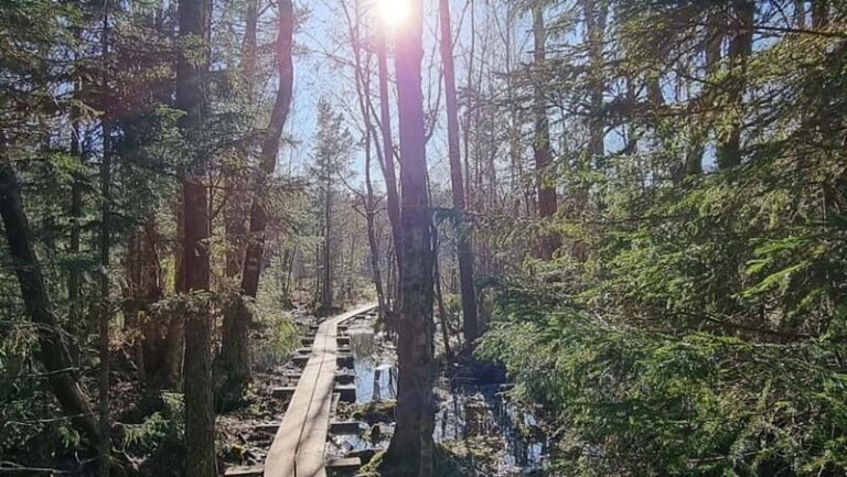 Tallinn: Best Estonian Nature Trails in a Day Guided Tour - Why This Tour Is Worth It