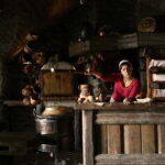 Tallinn: Estonian Food, Drinks and History Tour - Key Points
