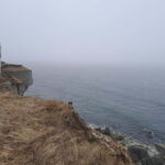 Tallinn: Hidden Gems of Northern Estonia Half Day Trip 5h - The Experience in Detail