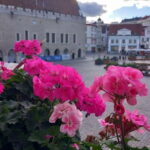 Tallinn Town Hall with a guide - The Experience: A Deep Dive into Tallinn’s Medieval Heart