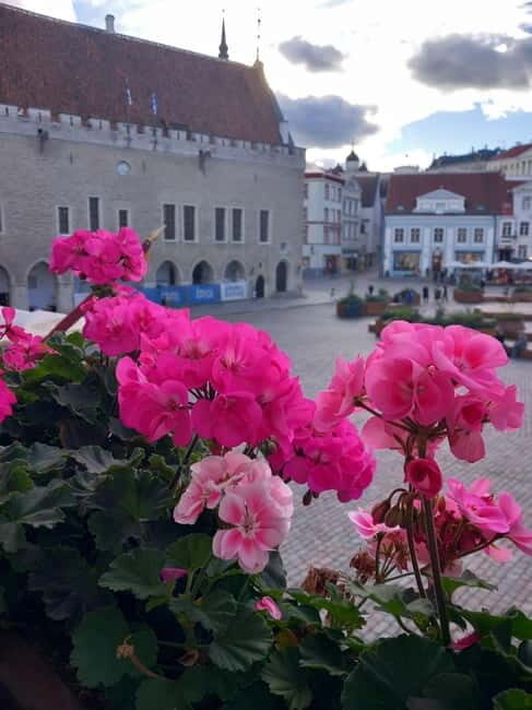 Tallinn Town Hall with a guide - The Experience: A Deep Dive into Tallinn’s Medieval Heart