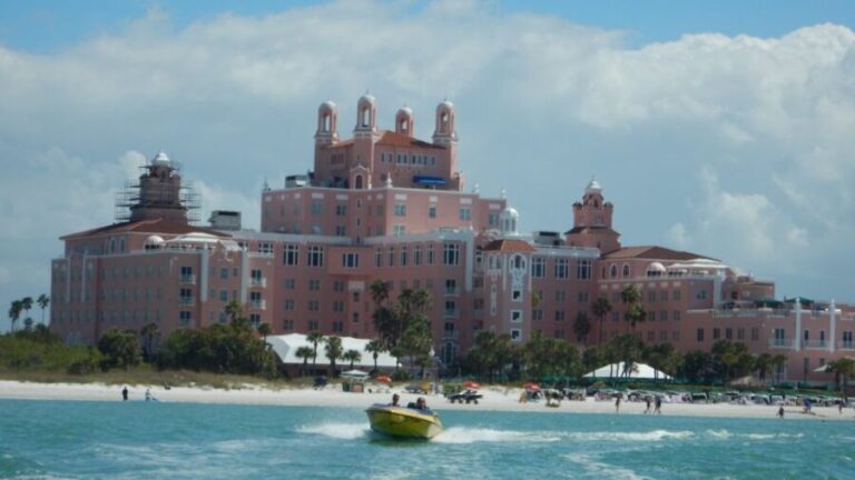 Tampa Bay 2-Hour Speedboat Adventure - The Itinerary and What to Expect
