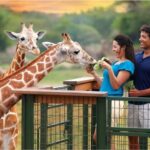 Tampa Bay: Serengeti Safari Tour - The Experience in Detail
