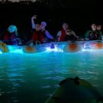Tampa: Clear Glowing Kayak Nighttime Tour - Exploring the Itinerary: What to Expect