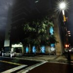 Tampa Terrors Ghost Tour By US Ghost Adventures - The Tour Overview