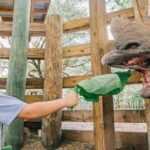 Tampa: ZooTampa at Lowry Park Entry Ticket - Authentic Perspectives from Visitors