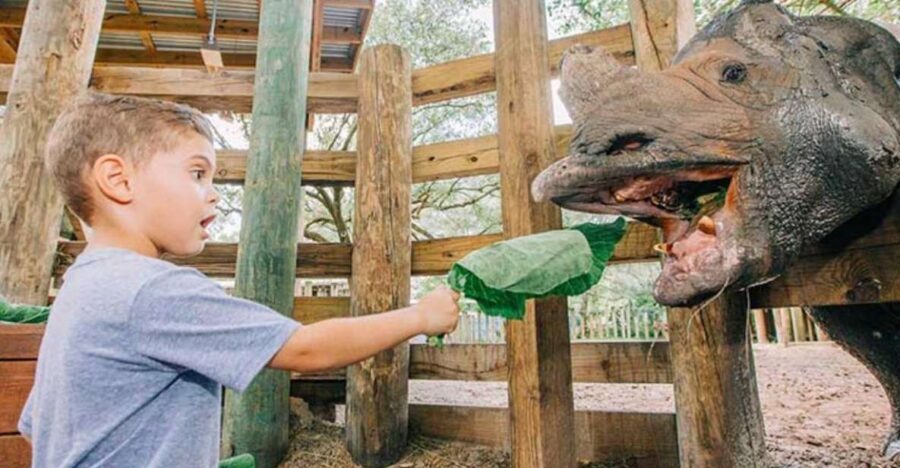 Tampa: ZooTampa at Lowry Park Entry Ticket - Authentic Perspectives from Visitors