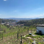 Taste and Tour Small Organic Wineries with a Winemaker - The Value of the Experience: What’s Included and Why It Matters