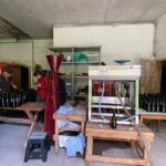 Taste and Tour Small Organic Wineries with a Winemaker - A Deep Dive Into the Experience