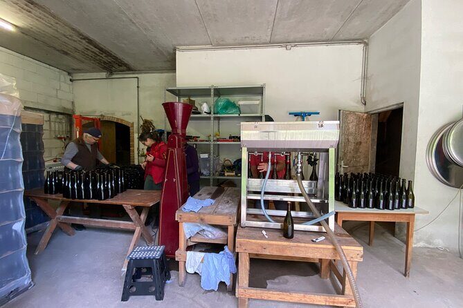 Taste and Tour Small Organic Wineries with a Winemaker - A Deep Dive Into the Experience
