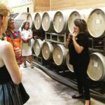Taste of Fredericksburg Small-Group Wine Tour from San Antonio - How Does It Feel to Be on This Tour?