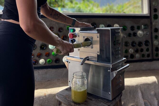 Taste of Hawaii: A Maui Farm Tour - What the Reviews Reveal
