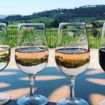 Tasting Bandol Wines & Visit of Cellar (in English) - The Setting and Atmosphere