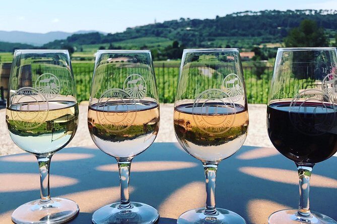 Tasting Bandol Wines & Visit of Cellar (in English) - The Setting and Atmosphere