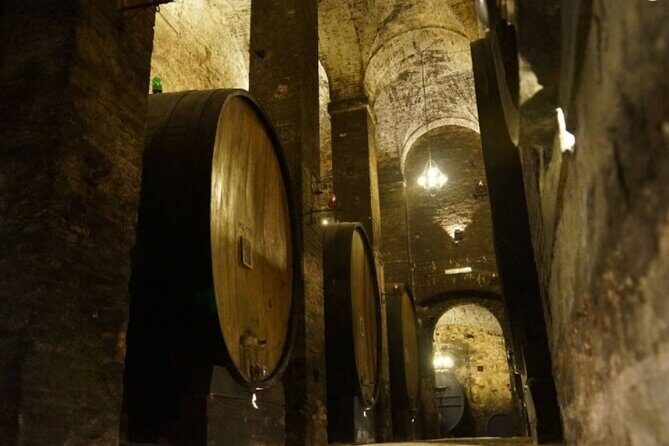 Tasting Tour in One of The Most Beautiful Cellars in the World - What the Tour Entails