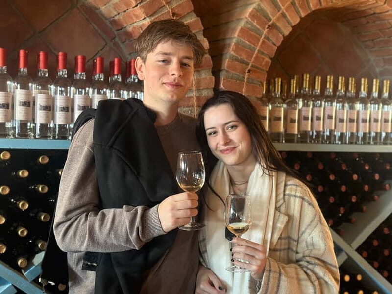 Tbilisi: Kakheti Wine Region Tour with 10 Wine Tastings - Why This Tour Works Well for Travelers