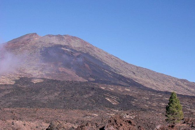 Teide essential Shore Excursion VIP TOUR - What You’ll Love About the Tour