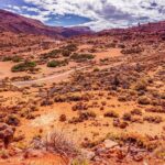 Teide National Park Half Day Tour with Hotel Pick up - A Detailed Look at the Half-Day Experience