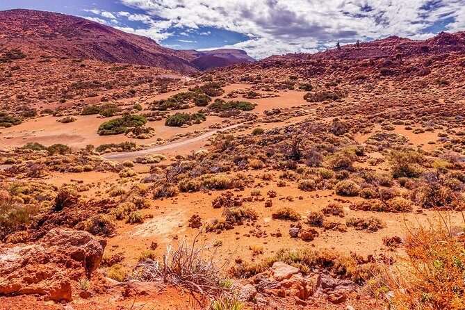 Teide National Park Half Day Tour with Hotel Pick up - A Detailed Look at the Half-Day Experience