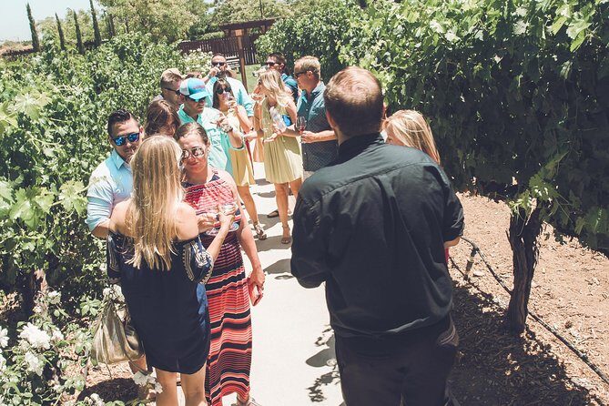 Temecula Valley Afternoon Wine Tour with Tastings and Cheeseboard - The Transport: A Comfortable, Guided Ride