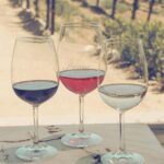 Temecula Valley Morning Wine Tour with Tastings and Cheeseboard - Evaluating the Value