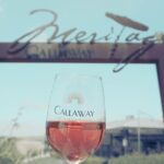 Temecula Valley Wine Tour with Tastings & Lunch Included - The Flipside: What to Keep in Mind