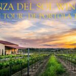 Temecula's Premier Wine Tasting Tour - What’s Included & What’s Not